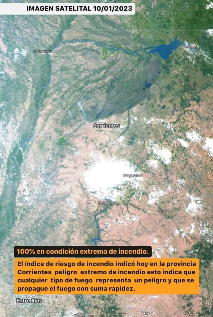 Ambientalista correntino alerta sobre el impacto de la sequia en la ... Ambientalista correntino alerta sobre el impacto de la sequia en la ...
