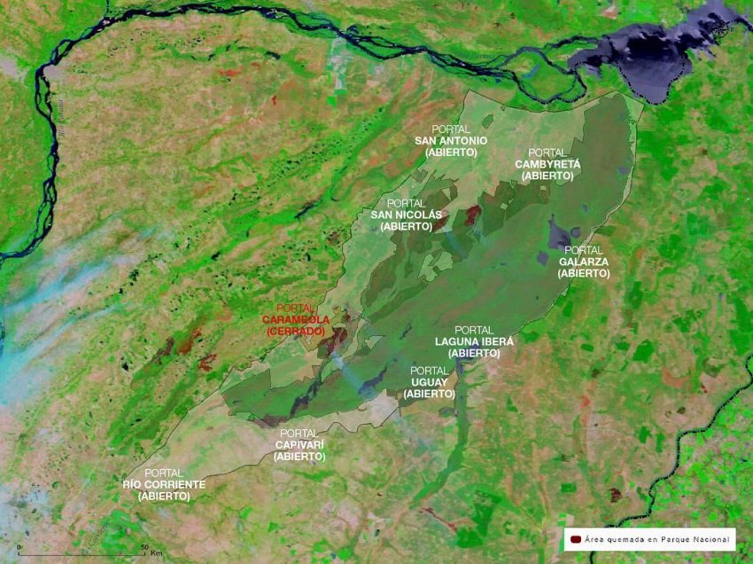 La Reserva natural del Iberá celebra 40 años de su creación – Las ...