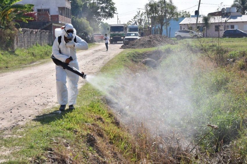 Lucha contra el dengue: el año se inicia con fumigación y descacharrado en dos barrios - Diario ...