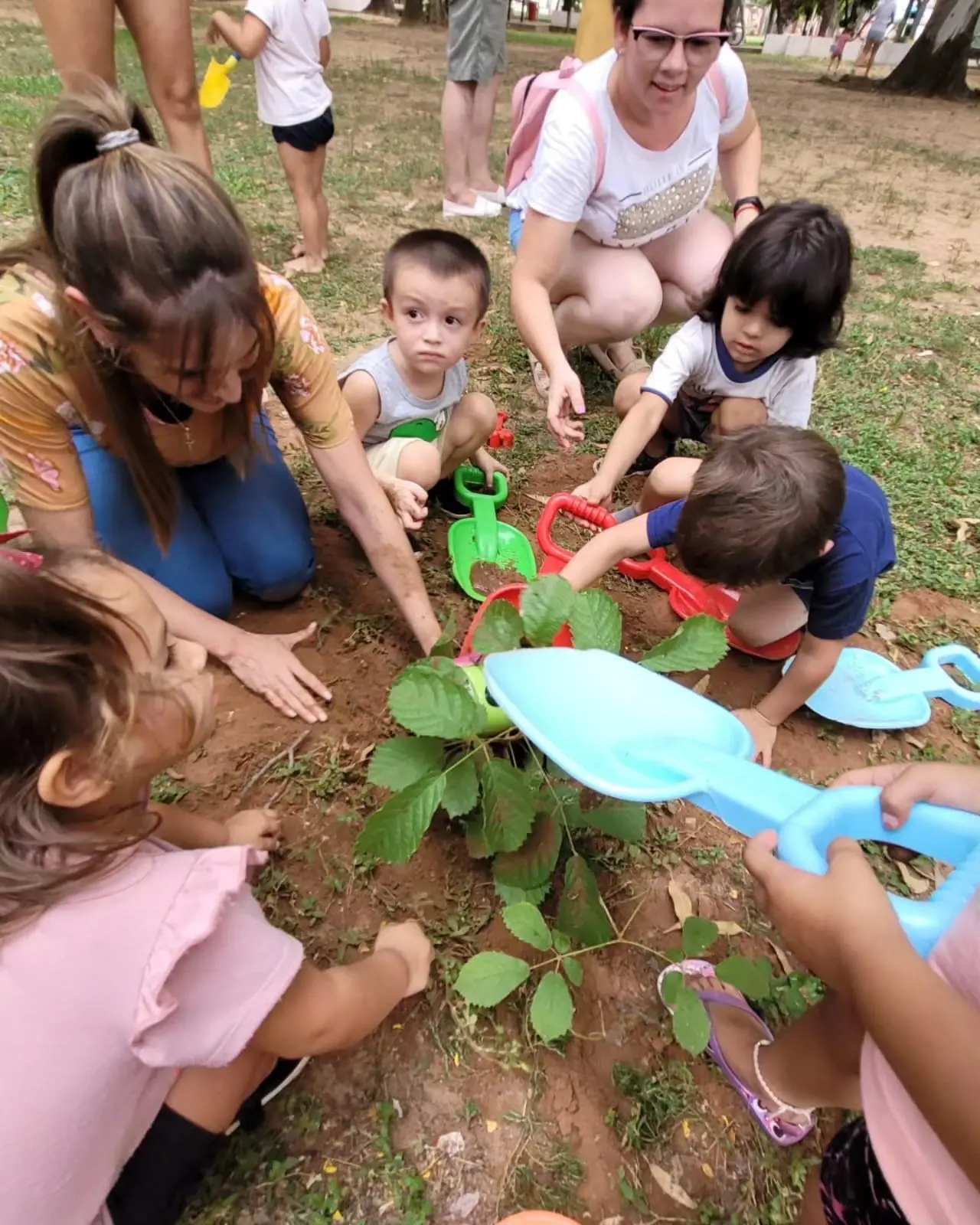 Mini Exploradores Plantaron árboles Autóctonos En El Parque Mitre Diario El Libertador De
